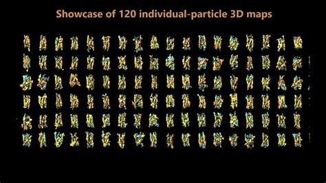 3d Snapshots Unveil The Intricate Dance Of Rna Folding