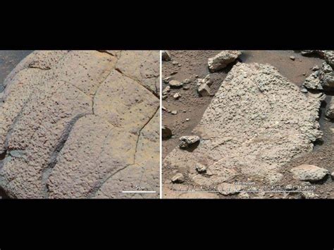 Nasa Ancient Mars Could Have Supported Life