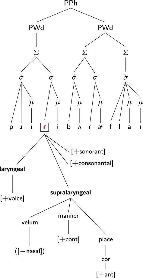 Guilherme D Garcia Latex And Phonology
