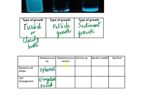 Solved Describe The Growth Seen In Each Of The Three Broth Cultures Type Of Growth Type Of