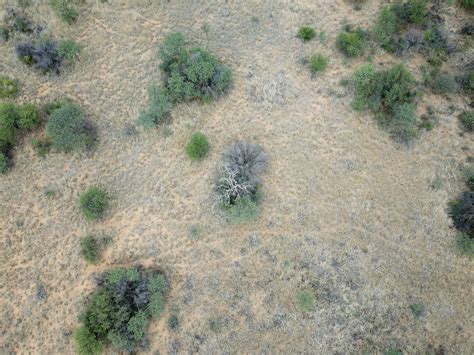 Processing Error 1 Message · Issue 317 · Opendronemapwebodm · Github