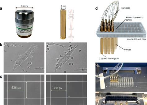 Figure 1 From Complexeye A Multi Lens Array Microscope For High Throughput Embedded Immune