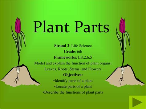 Life Science Plants