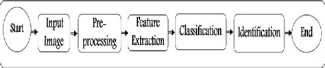figure 1 from comparative analysis of face recognition based on