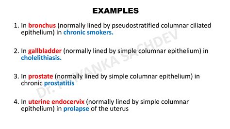 General Pathology Pdf By Miss Priyanka Sachdev Pdf