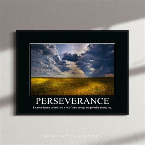 Perseverance Demotivational Quotes Demotivational Posters Perseverance
