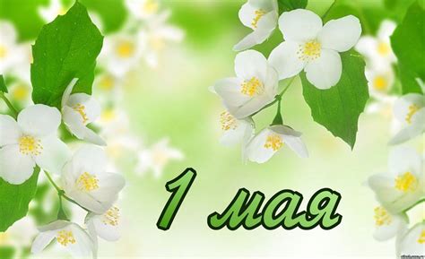 1 Мая Прикольные открытки с 1 Мая смешные смс поздравления в Reddelnorte
