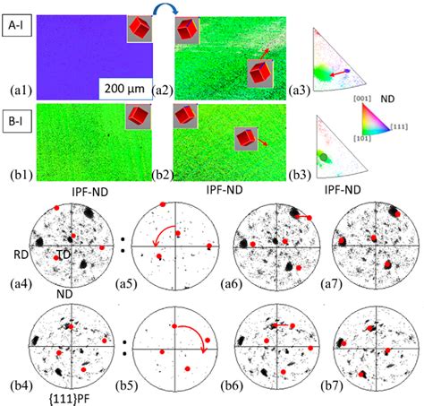 Figure 5 From Understanding The Strain Path Effect On The Deformed Microstructure Of Single