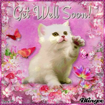 Get Well Soon Cat 