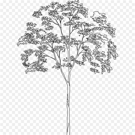 Landscape Architecture Plan Png The Top View Tree Images Are Already