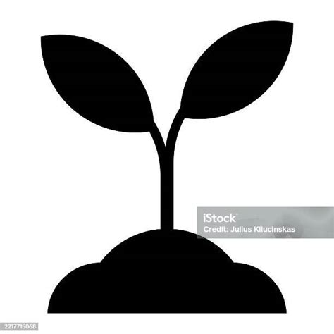 묘목 또는 식물 새싹 벡터 아이콘입니다 친환경 성장 지속 가능성 자연 원예 또는 농업 상징 흰색 배경에 고립 된 검은 실루엣 0명에 대한 스톡 벡터 아트 및 기타 이미지