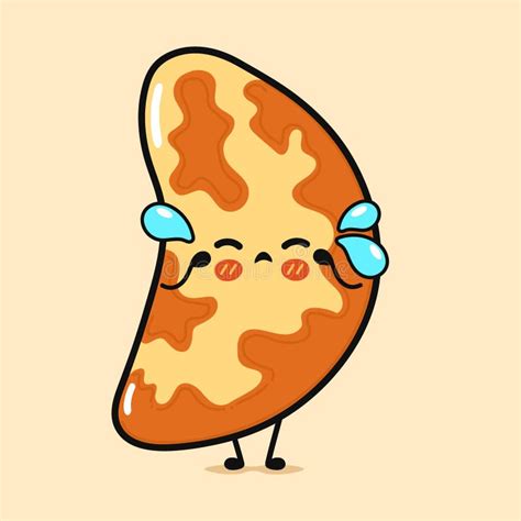 Cute Cry Brazilian Nut Character Vector Hand Drawn Cartoon Kawaii Character Illustration Icon