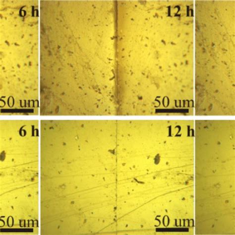 Illustration Of The Healing Process Of The Self Healing Polyurethane