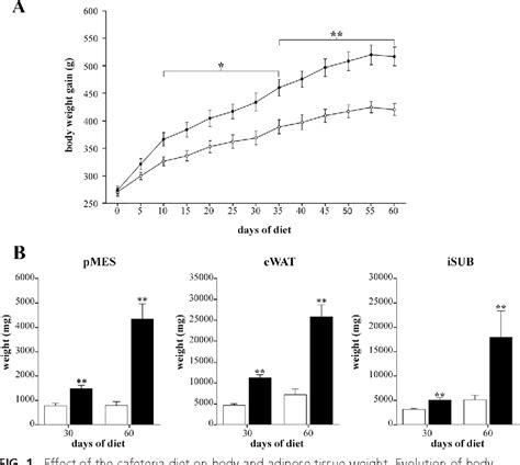 Figure 1 From Role Of Igfbp 3 In The Regulation Of β Cell Mass During