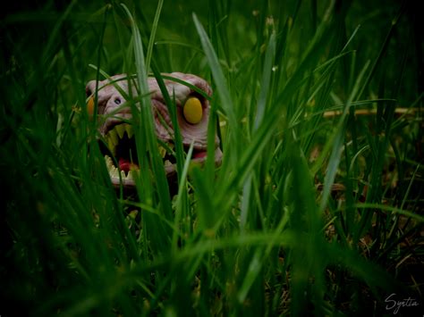 Dont Go Into The Long Grass Pops Adventures