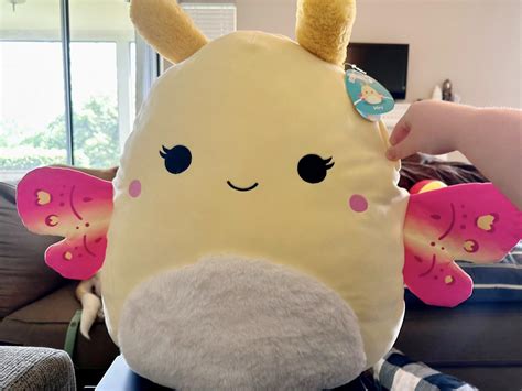 A Late Birthday T I Didnt Even Know She Existed R Squishmallow