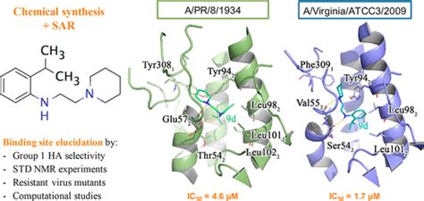 基于苯胺的h1n1流感病毒抑制剂对血凝素介导的融合的作用 Journal Of Medicinal Chemistry X Mol