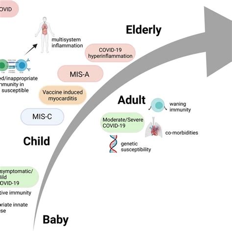 Factors Influencing The Spectrum Of Sars‐cov‐2‐associated Disease In