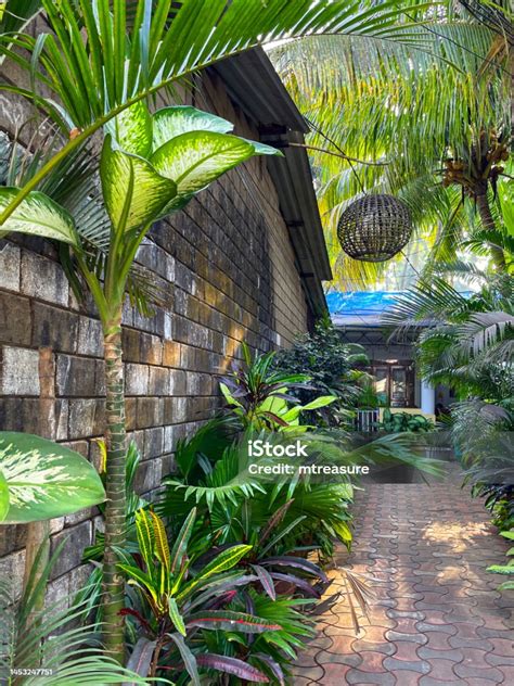 빨간색과 검은색 테셀레이션 모양의 포장기 넓은 정글 스타일 식물이 늘어선 정원 보도 화분에 심은 야자수 전경에 초점 외에 벽돌 벽의 클로즈업 이미지 열대 기후에 대한 스톡