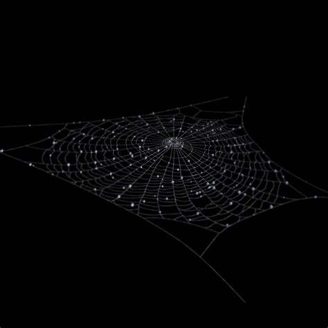 Spiderweb 3d Model