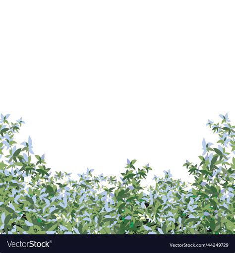 Ornamental Green Plant In The Form Of A Hedge Vector Image