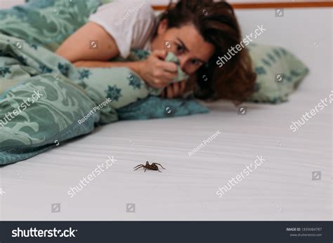 10 536 Scared Spider Images Stock Photos Vectors Shutterstock