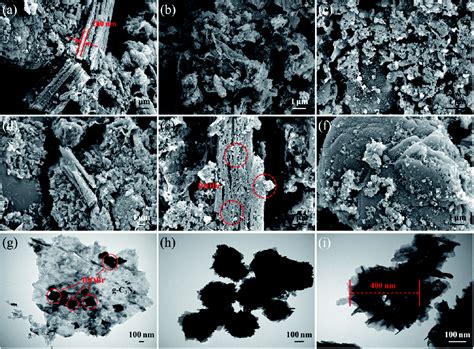 Rational Design Direct Z Scheme Biobrg C 3 N 4 Heterojunction With Enhanced Visible