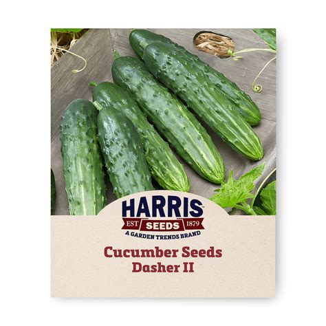 Harris Seeds 500 Treated F1 Dasher Ii Cucumber Plant Seeds