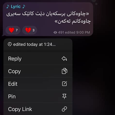 ོ 𝑳𝒚𝒓𝒊𝒄 ོ ⠀ ‎نەتهێشت بۆ کۆتا جار ئەو شتانەت پێ بڵێم کە ئەمویست بیڵێم و نەمتوانی نەتهێشت تێ