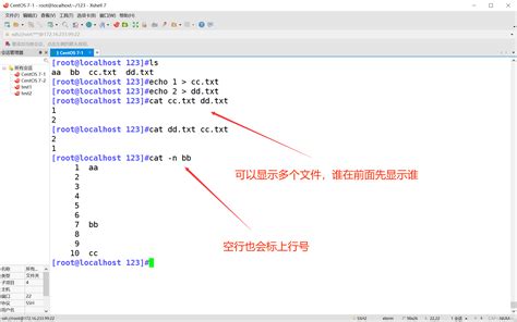 Linux基础命令(三)vi输出前四行 Csdn博客 Linux基础命令(三)vi输出前四行 Csdn博客
