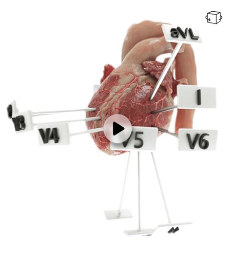 Temporal Bone Ar Atlas