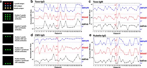 Multiplexed Panel For The Simultaneous Detection Of Three Infectious Download Scientific
