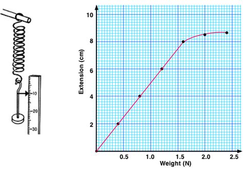 Hooke S Law Diagram Quizlet