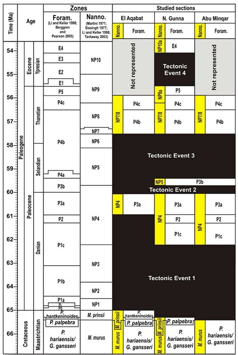 Lithostratigraphy Integrated Microfossil Biostratigraphy