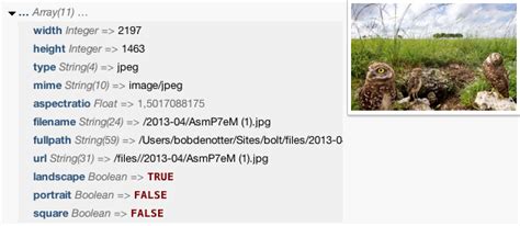 Twig Tags Functions And Filters Bolt Documentation