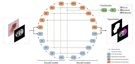Figure 1 From O Net A Novel Framework With Deep Fusion Of Cnn And Transformer For Simultaneous