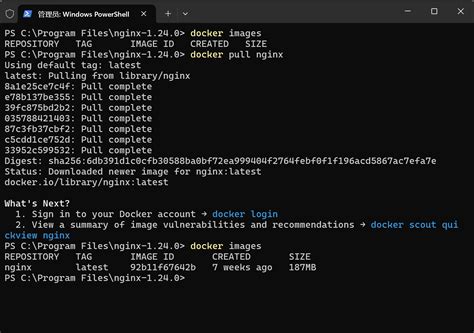 Nginx 安装指南 李钟意讲前端