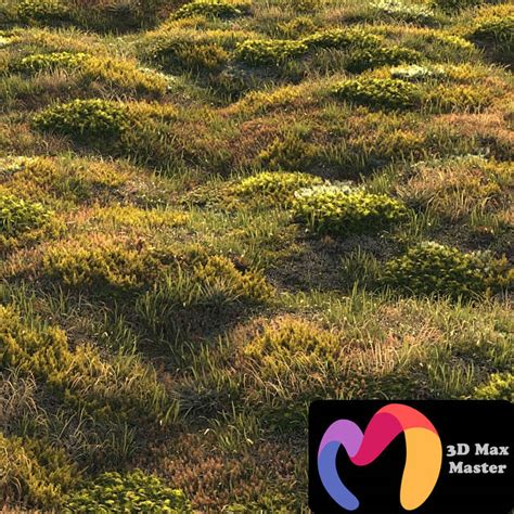 Forest Grass 3d Max 3dmaxter