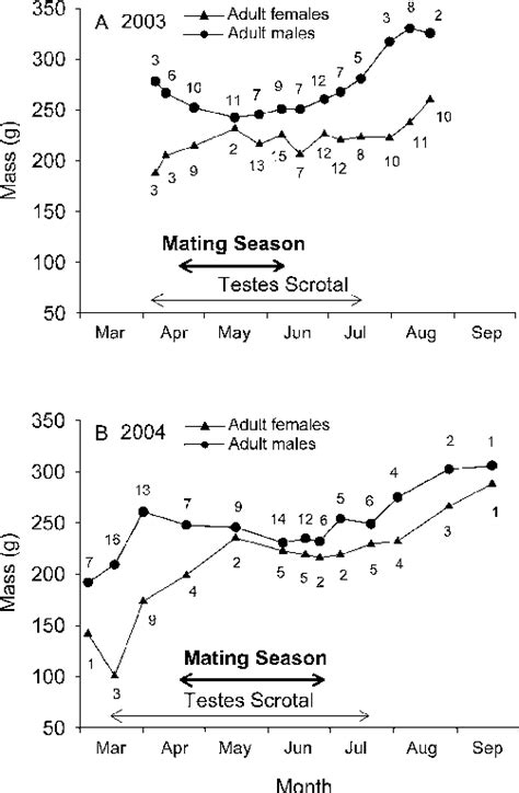 Average Mass Over Time For Adult Male Circles And Adult Female Download Scientific Diagram