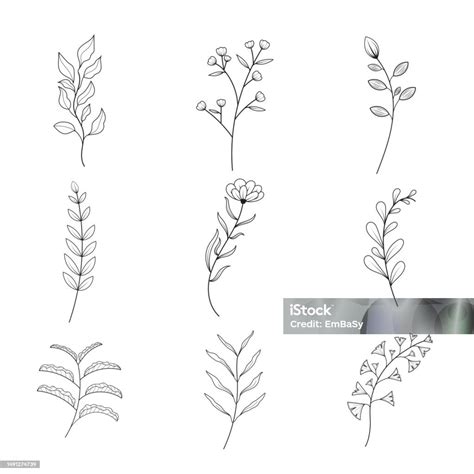 미니멀리스트 꽃과 식물 컬렉션 손으로 그린 꽃 가지 나뭇잎 허브와 야생 식물이 라인 스타일로 설정되어 있습니다 장식 결혼식 및 초대 카드 디자인 프로젝트 일러스트레이터 벡터