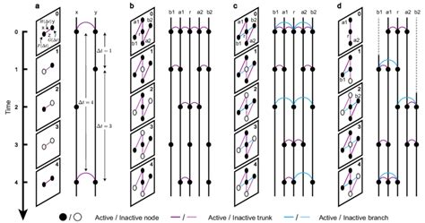 Schematic Illustration Of Constructing Temporal Networks On Different Download Scientific