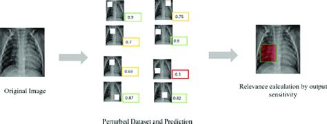 5 Illustration Of A Perturbation Based Attribution Technique Download