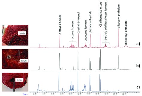 The Pyrolysis Coupled With Gas Chromatography And Mass Spectrometry Download Scientific Diagram