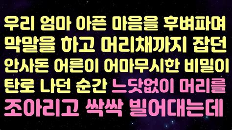 우리 엄마 아픈 마음을 후벼파며 막말을 하고 머리채까지 잡던 안사돈 어른이 어마무시한 비밀이 탄로 나던 순간 느닷없이 머리를 조아리고 싹싹 빌어대는데 Youtube