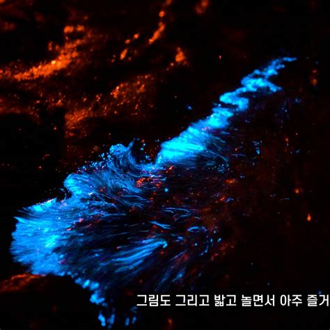 서해안에 나타난 야광충 발광 플랑크톤 인스티즈 Instiz 인티포털 카테고리