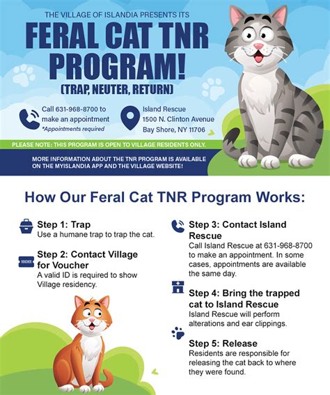Feral Cat Tnr Program Trap Neuter Return Village Of Islandia
