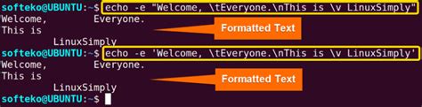 The Echo Command In Linux Practical Examples