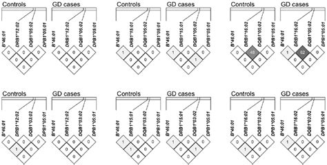 linkage disequilibrium analysis of hla b hla drb1 hla dqb1 and