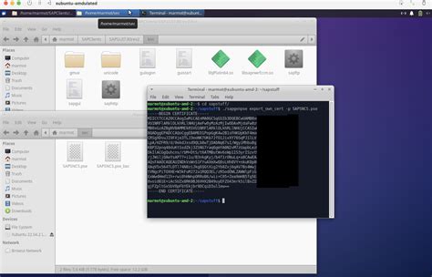 Setting Up Sapgui Sso On A Linux Client Sap Community