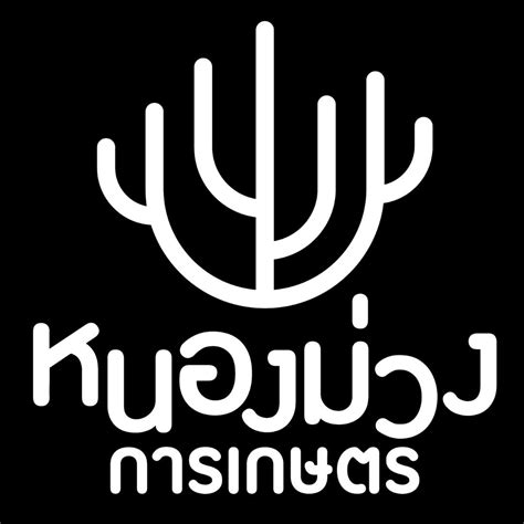 ปลูกข้าวโพด 1ไร่ จะได้กี่ตัน⁉️ แล้ว 1ปี หนองม่วงการเกษตร Facebook